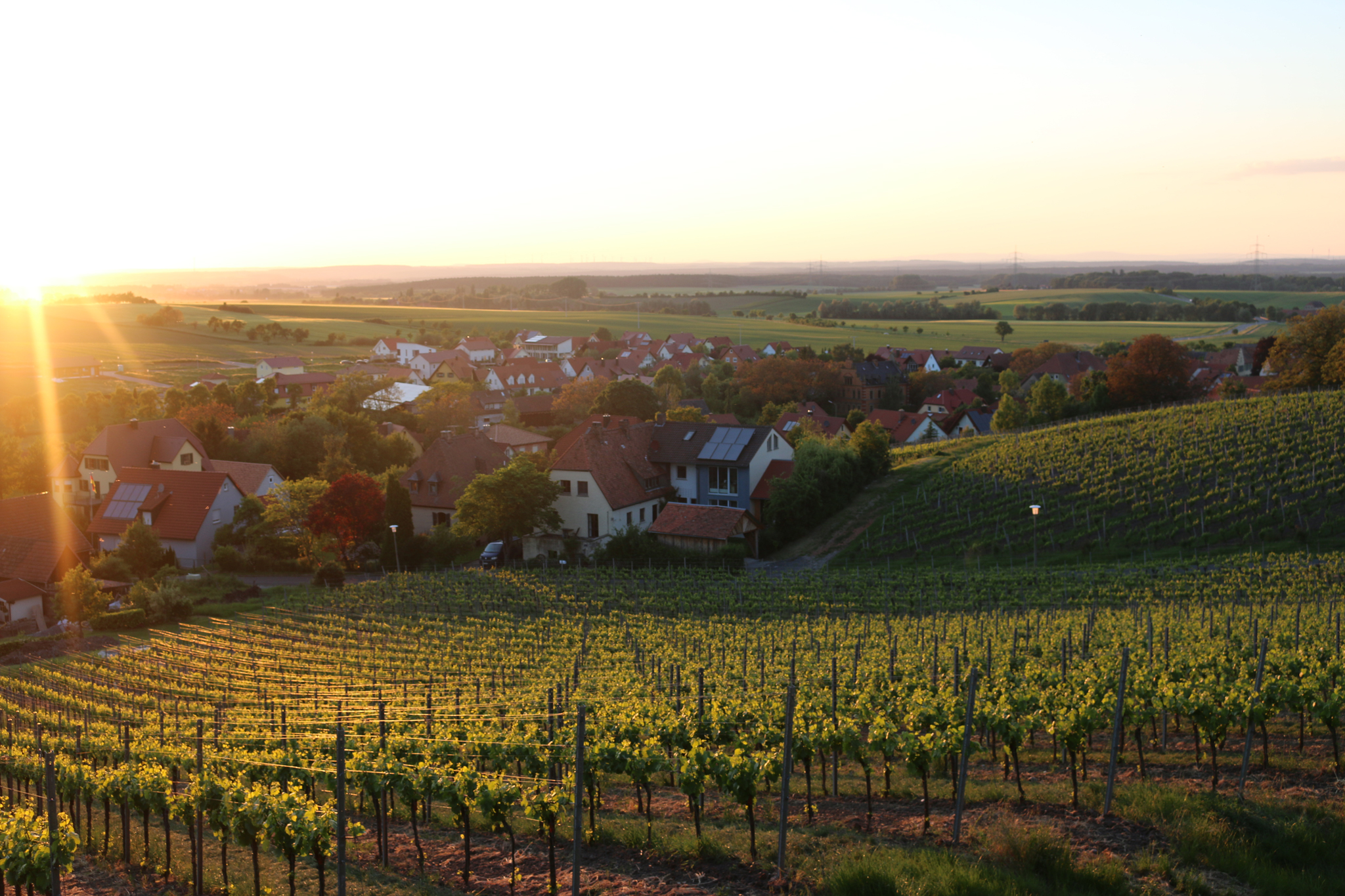 Wandermagazin - Andrack weinwandert - Fränkisches Weinland