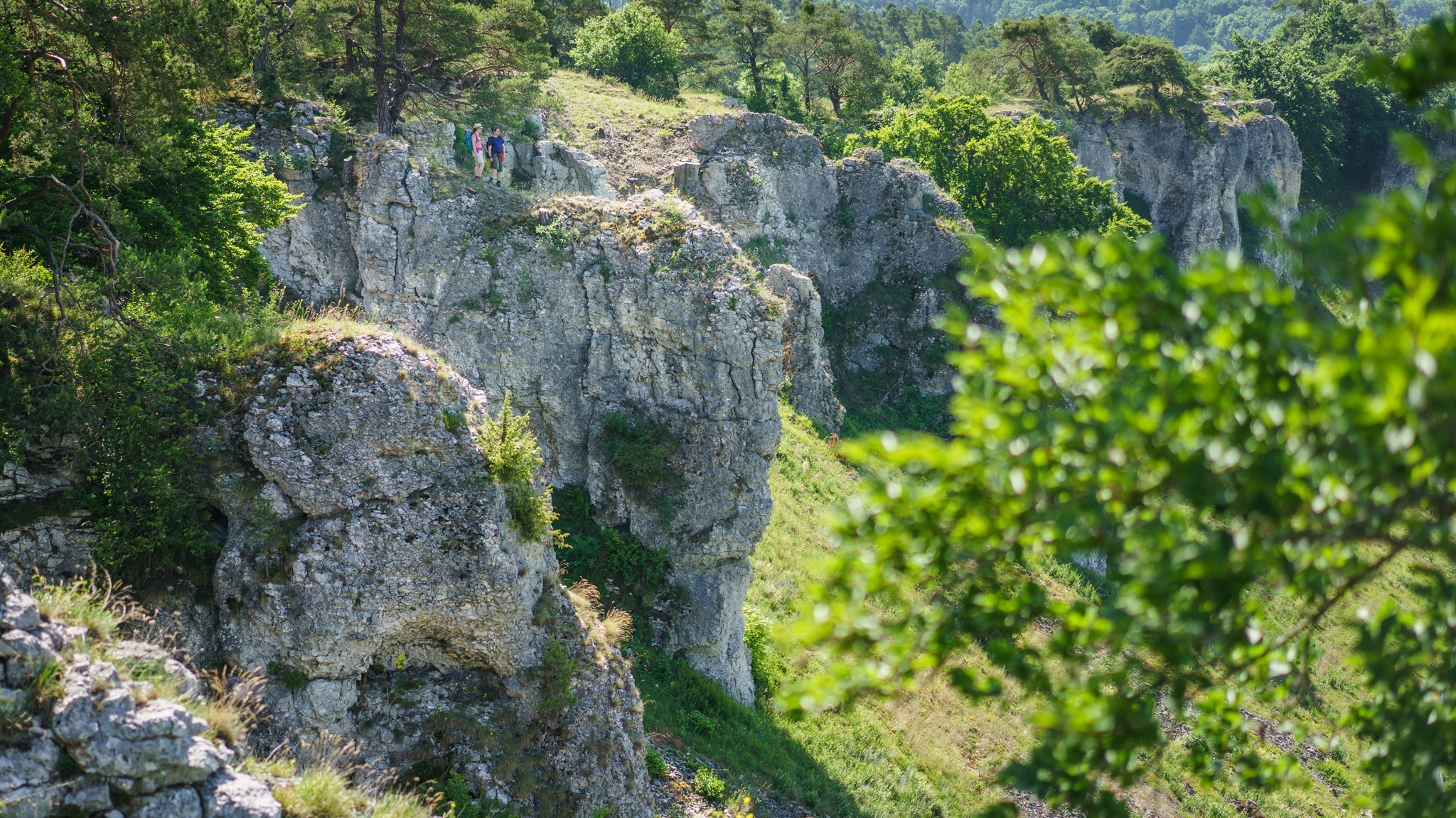Wandermagazin - Eintauchen in die Zeit: Naturpark Altmühltal
