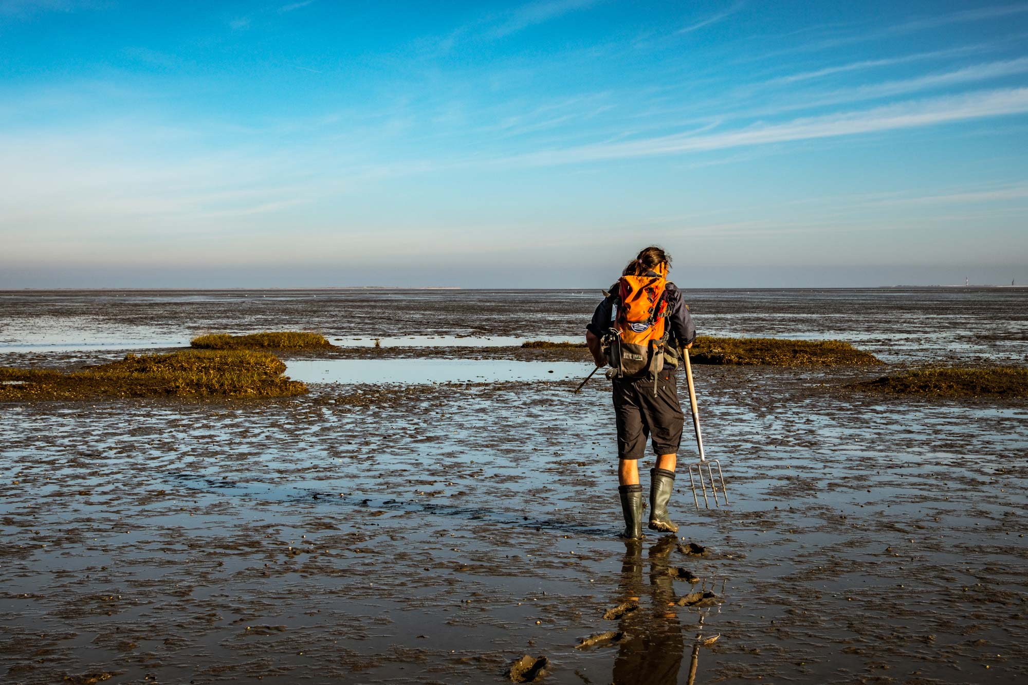 Wandermagazin - 10 Jahre Weltnaturerbe Wattenmeer