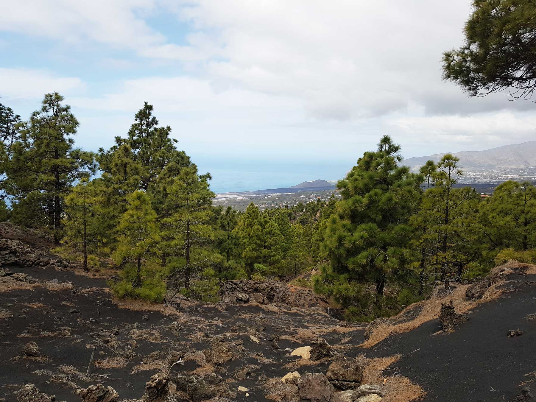 Wandermagazin - Insel La Palma – Wanderung auf den Vulkan Tajuya