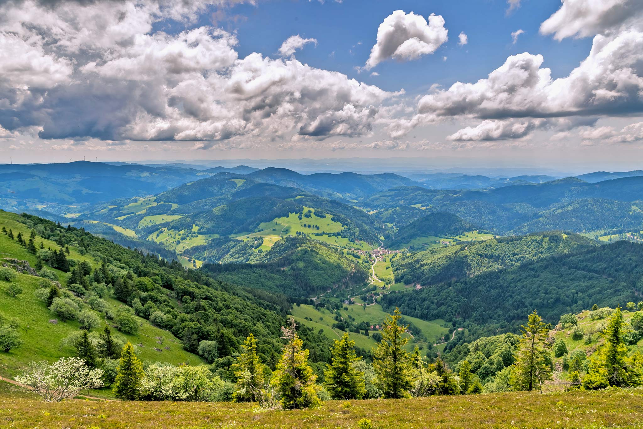 Wandermagazin - Wandern im Schwarzwald