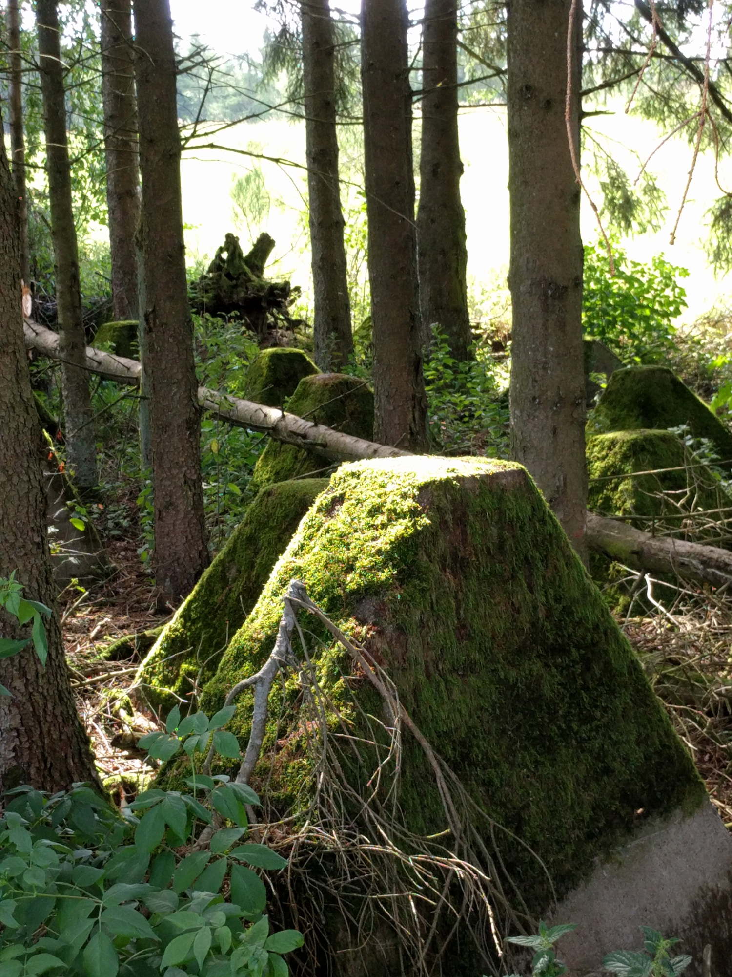 Wandermagazin - Trekkingabenteuer in der Eifel