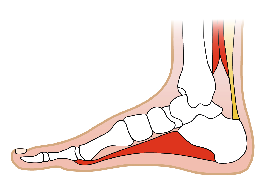 Wandermagazin - Das wichtigste Wanderutensil: Der Fuß