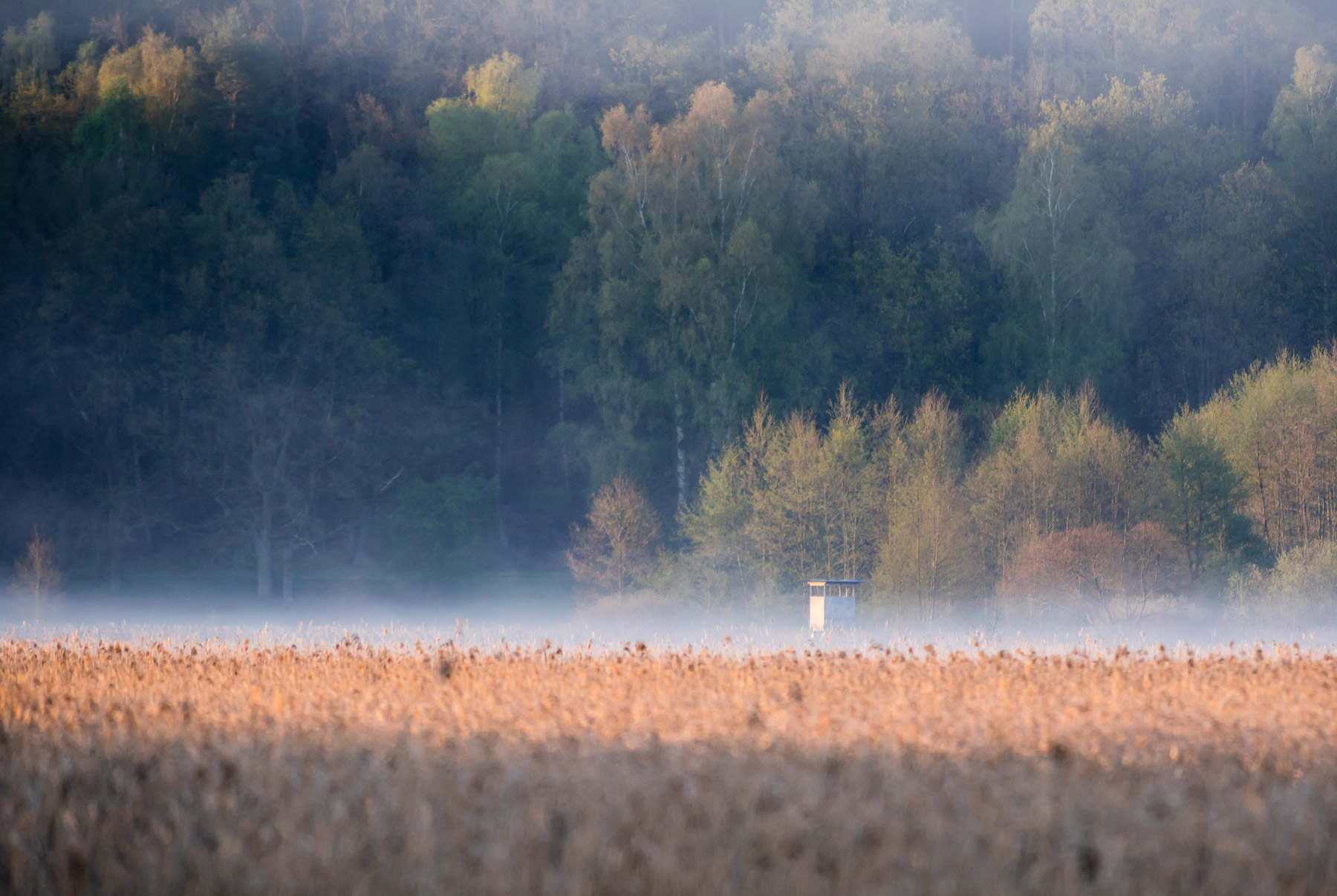 Wandermagazin - Die Moore der Mark – Moorwandern in Brandenburg