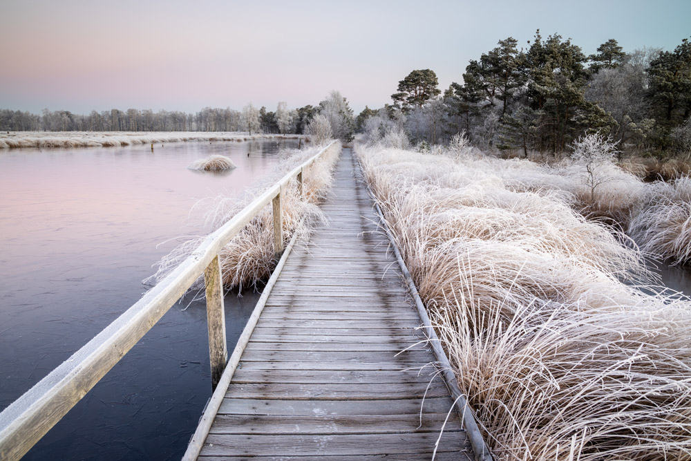 Wandermagazin - Wandern in den Moorlandschaften der Lüneburger Heide