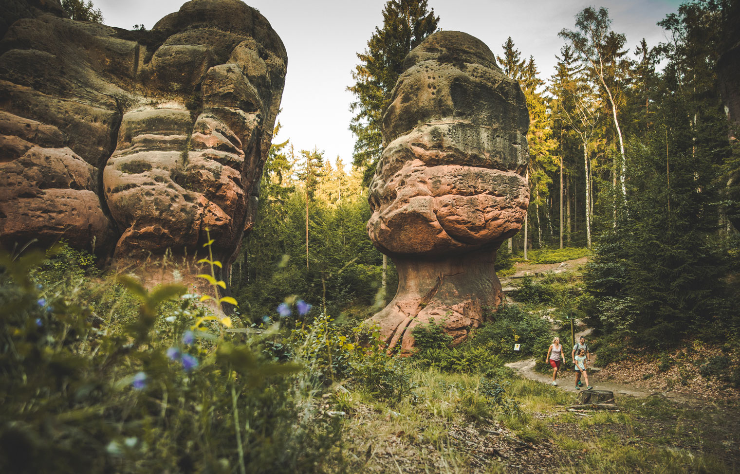 Wandermagazin - Wandern im Naturpark Zittauer Gebirge