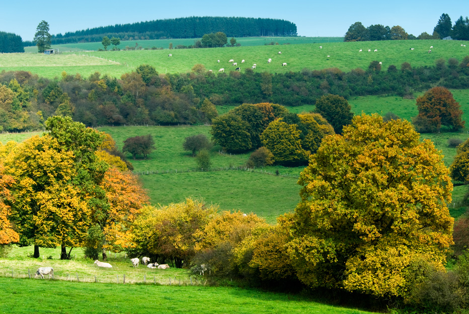 Wandermagazin - Wandern im Herzen der belgischen Ardennen