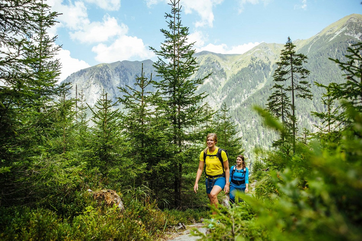 Wandermagazin - Wald und Wandern im SalzburgerLand